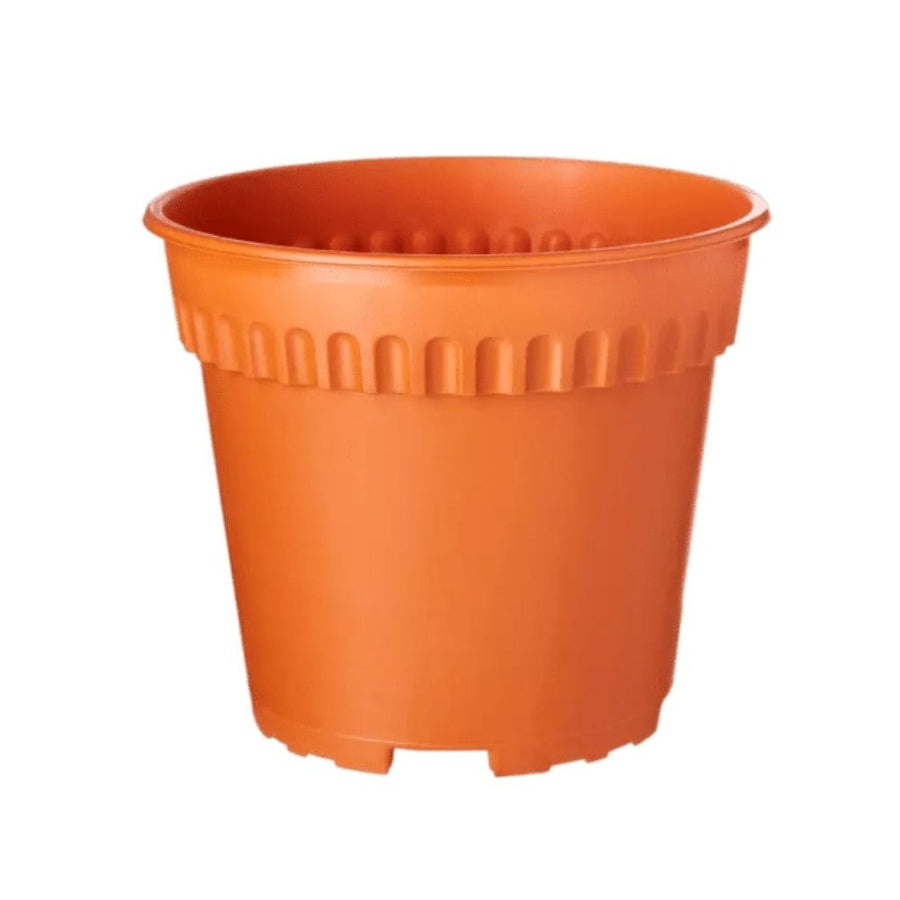 Pot Brand - Baba | Shop Online at Ban Nee Chen Nursery